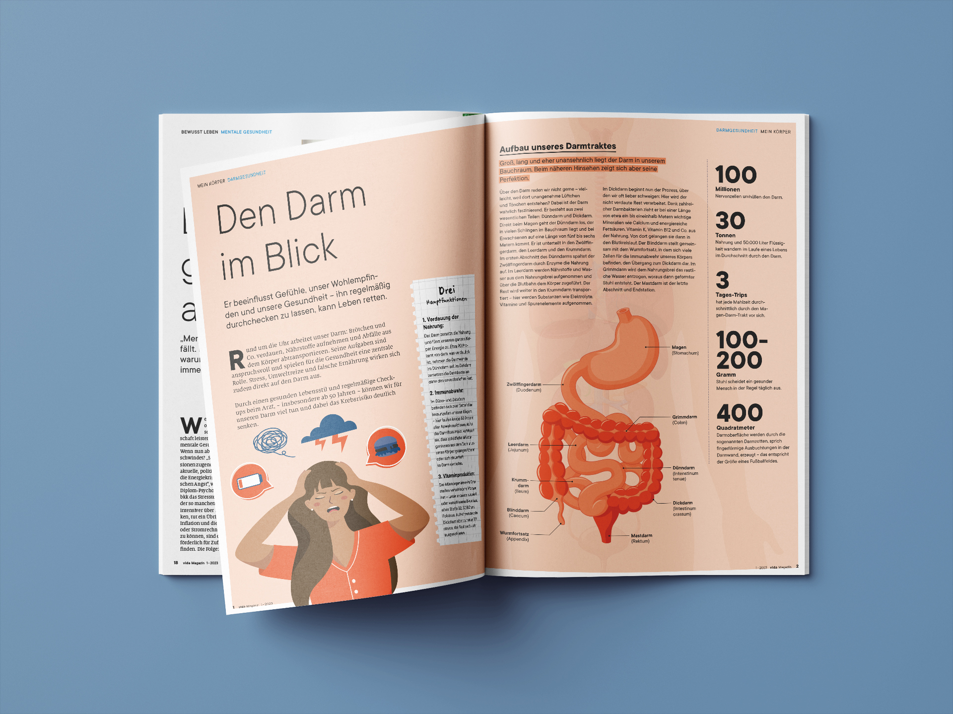 Jana Evers – Infografik & Design — Vida Magazin Infografik Darm